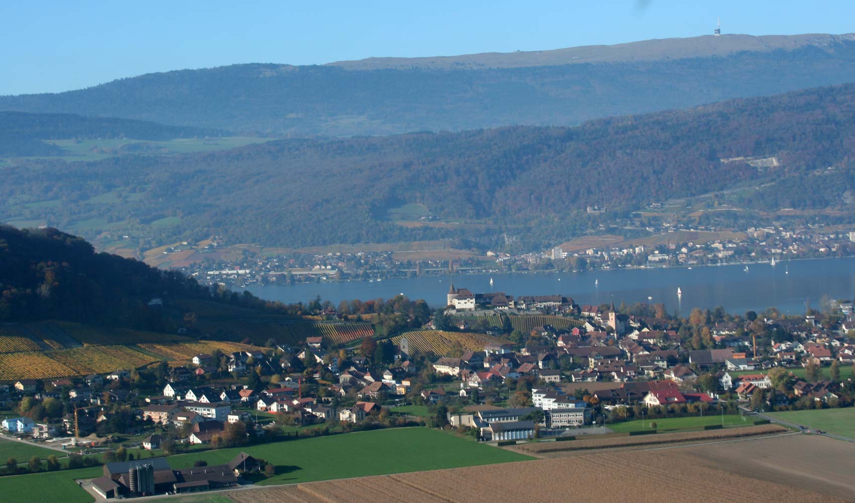 Erlach Front Side Home